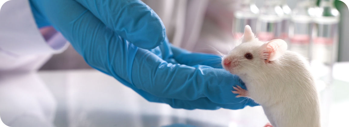 Genetically Engineered Rodent Models and Humanized Mice | Taconic Biosciences